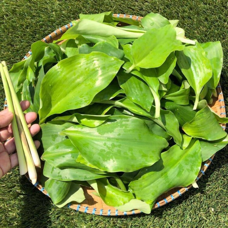 10 Jenis Ulam Popular di Malaysia & Khasiatnya untuk Kesihatan - Portal ...