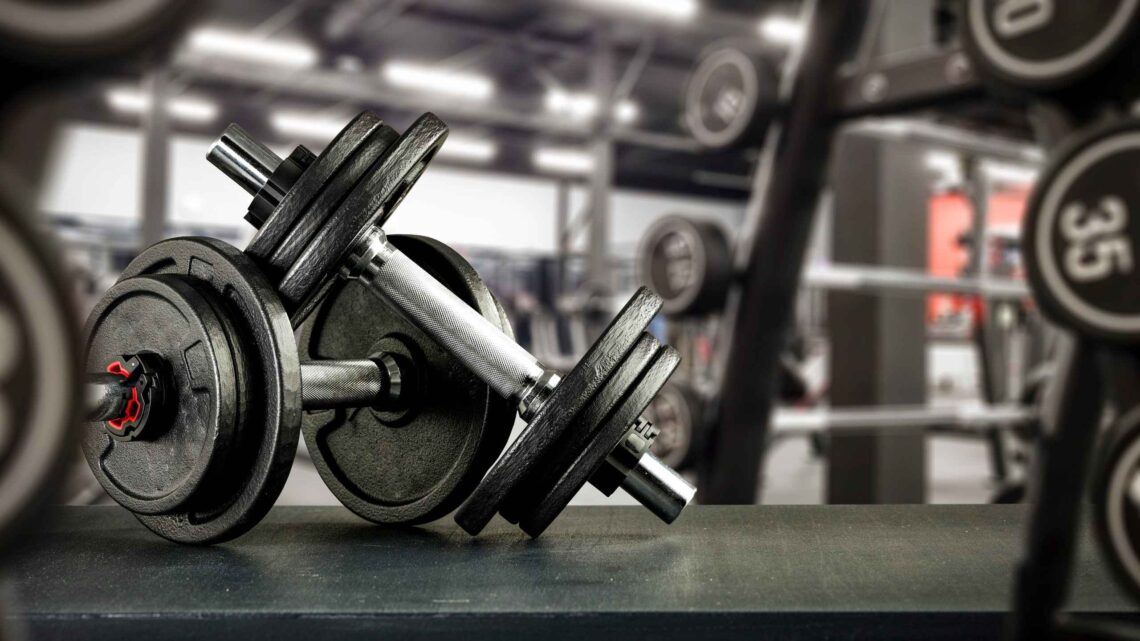 5 Strength Training for Beginners - Portal Kesihatan No.1